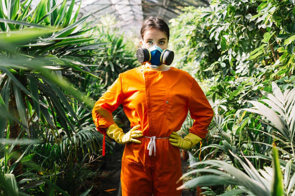 The Essential Guide to Dallas Weed Control Services - MyHomeComplex
